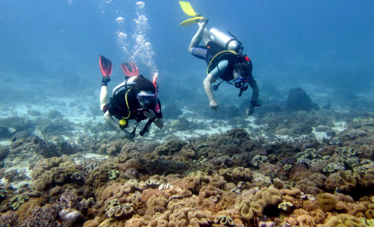 The International Year of the Reef - Icran