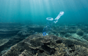 Threats to Coral Reefs - Icran