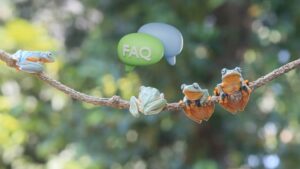 Can Frogs Feel Happy? The Surprising Emotional Life of Frogs - Icran