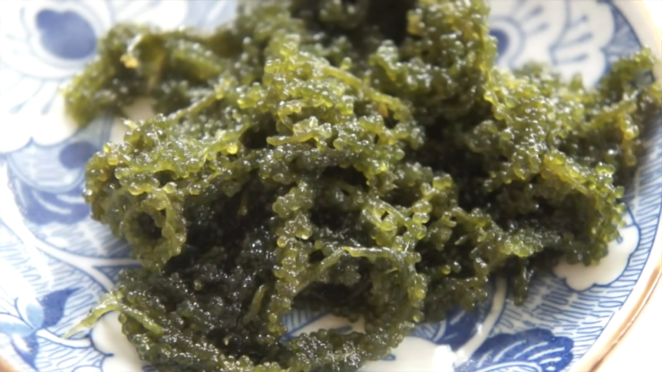 What Do Sea Grapes Taste Like? Discover Their Unique Flavor Profile - Icran