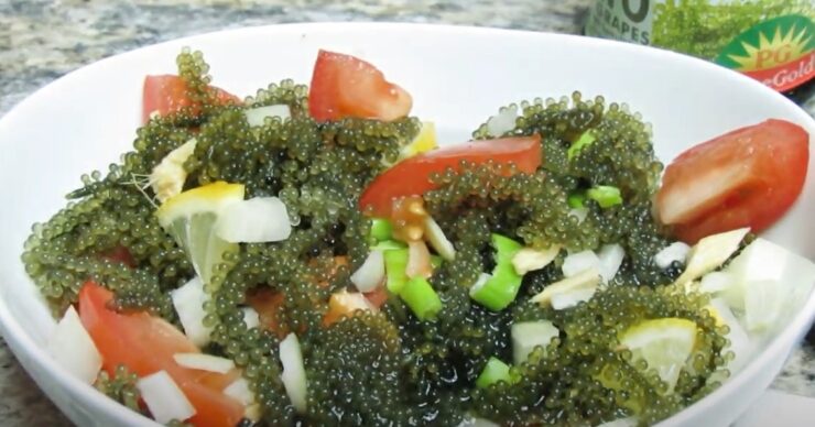 What Do Sea Grapes Taste Like? Discover Their Unique Flavor Profile - Icran