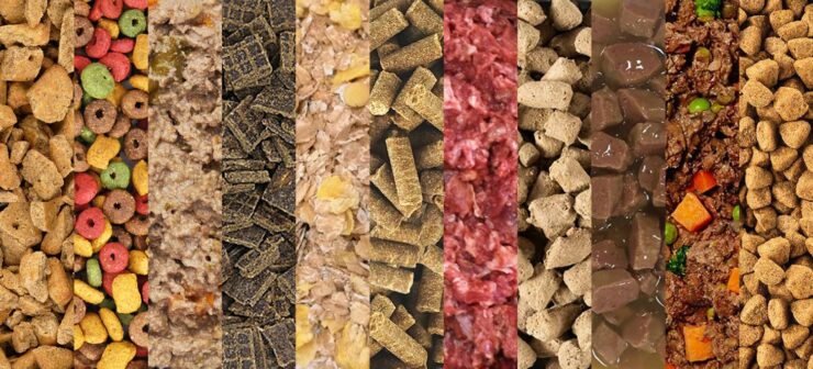 Top 7 Natural Supplements for Dog Health in 2024
