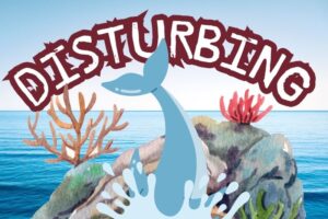 10 Disturbing Facts About Dolphins You Didn’t Know - Icran