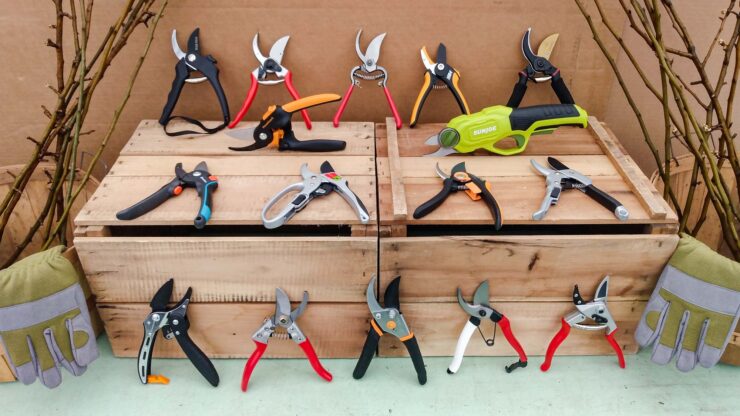 Shop Top Performing Pruning Tools