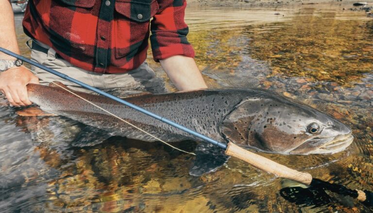 10 Largest Fresh Water Fishes in the World - Icran